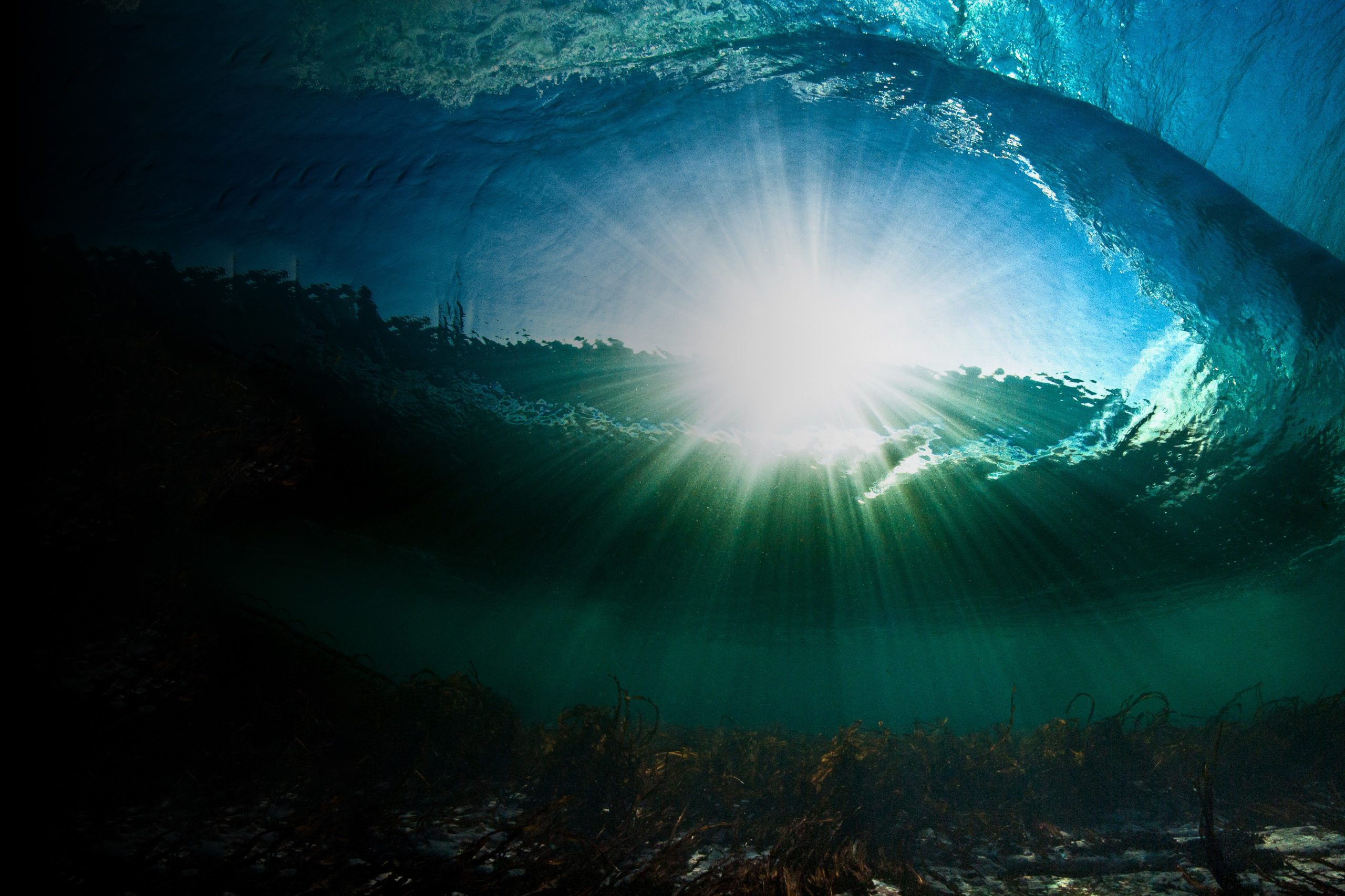 Sustainability - Convex Insurance